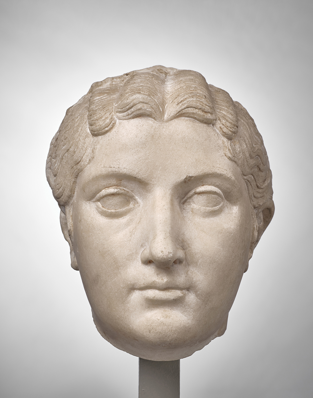 Une famille formidable - Musée Saint-Raymond